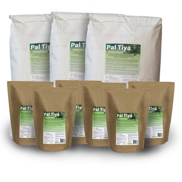 Pal Tiya Premium – Pal Tiya USA